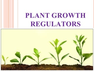 plant growth regulators.pdf Microbiology, | PPT