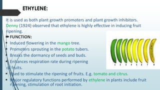 plant growth regulators.pdf for botany students college students | PDF