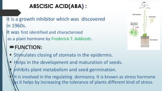 plant growth regulators.pdf for botany students college students | PDF