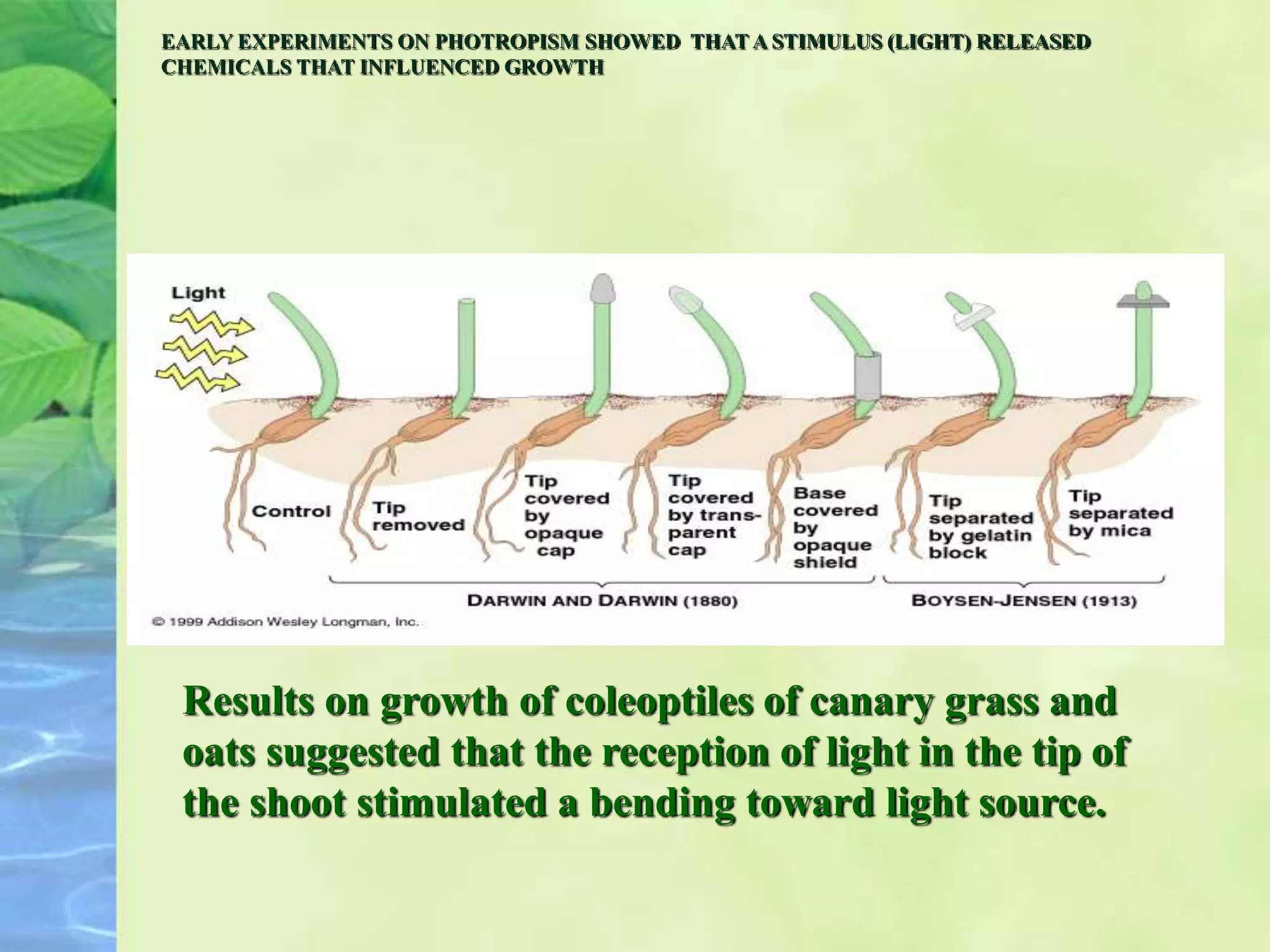PLANT_GROWTH_REGULATORS_(1).ppt