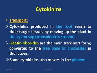 Plant Growth Regulators (Cytokinins).pdf