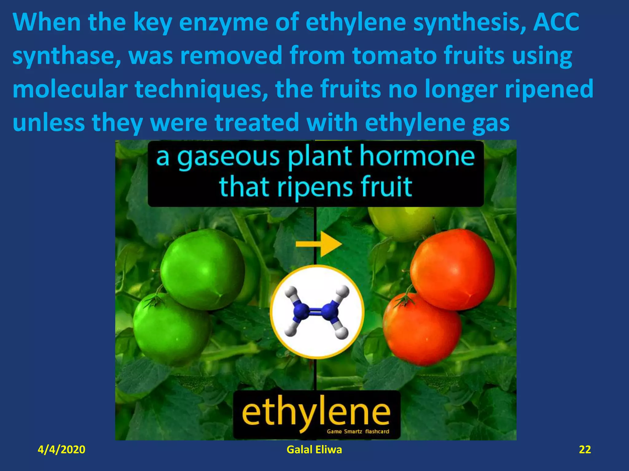 Plant growth regulators(Ethylene) | PDF