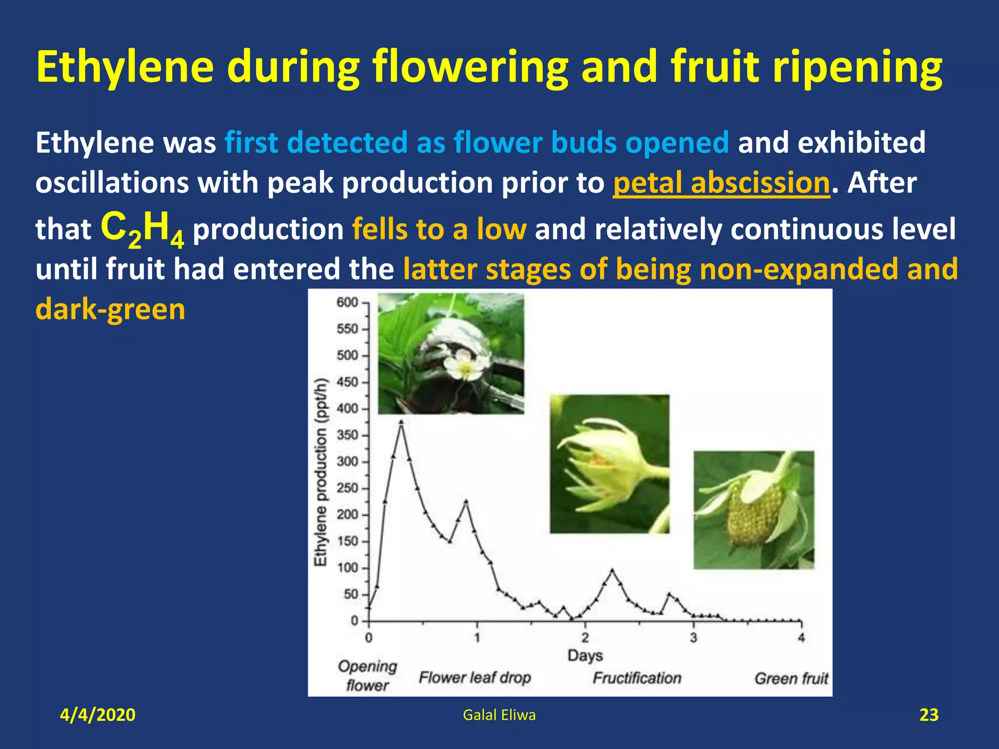 Plant growth regulators(Ethylene) | PDF