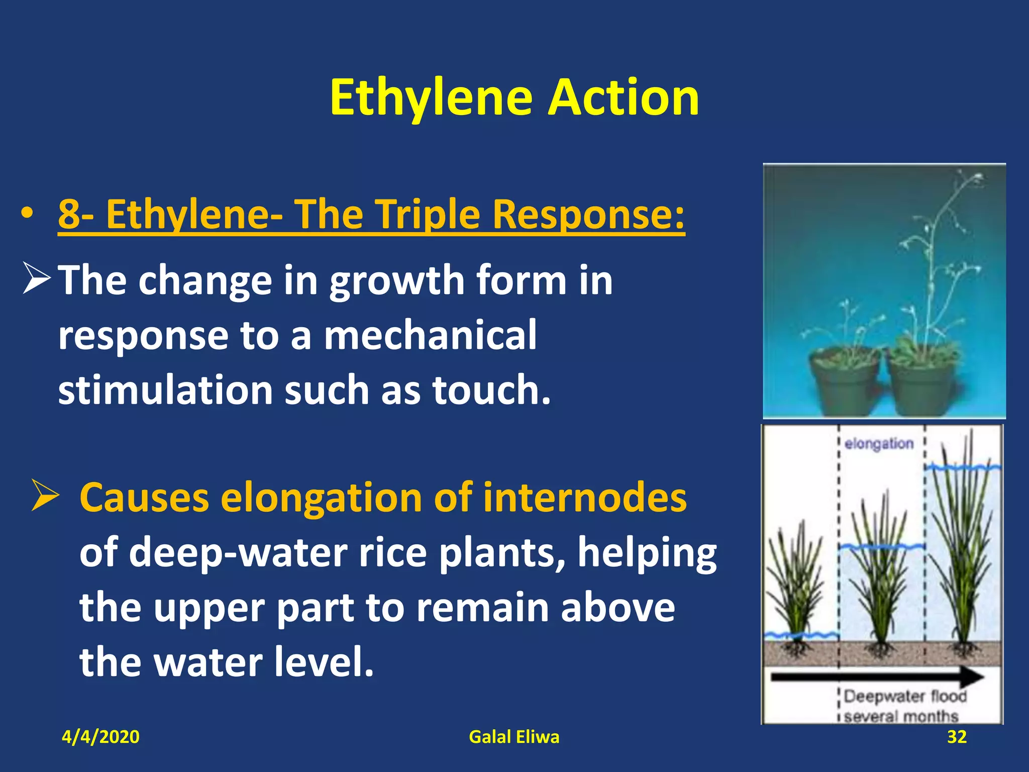 Plant growth regulators(Ethylene) | PDF