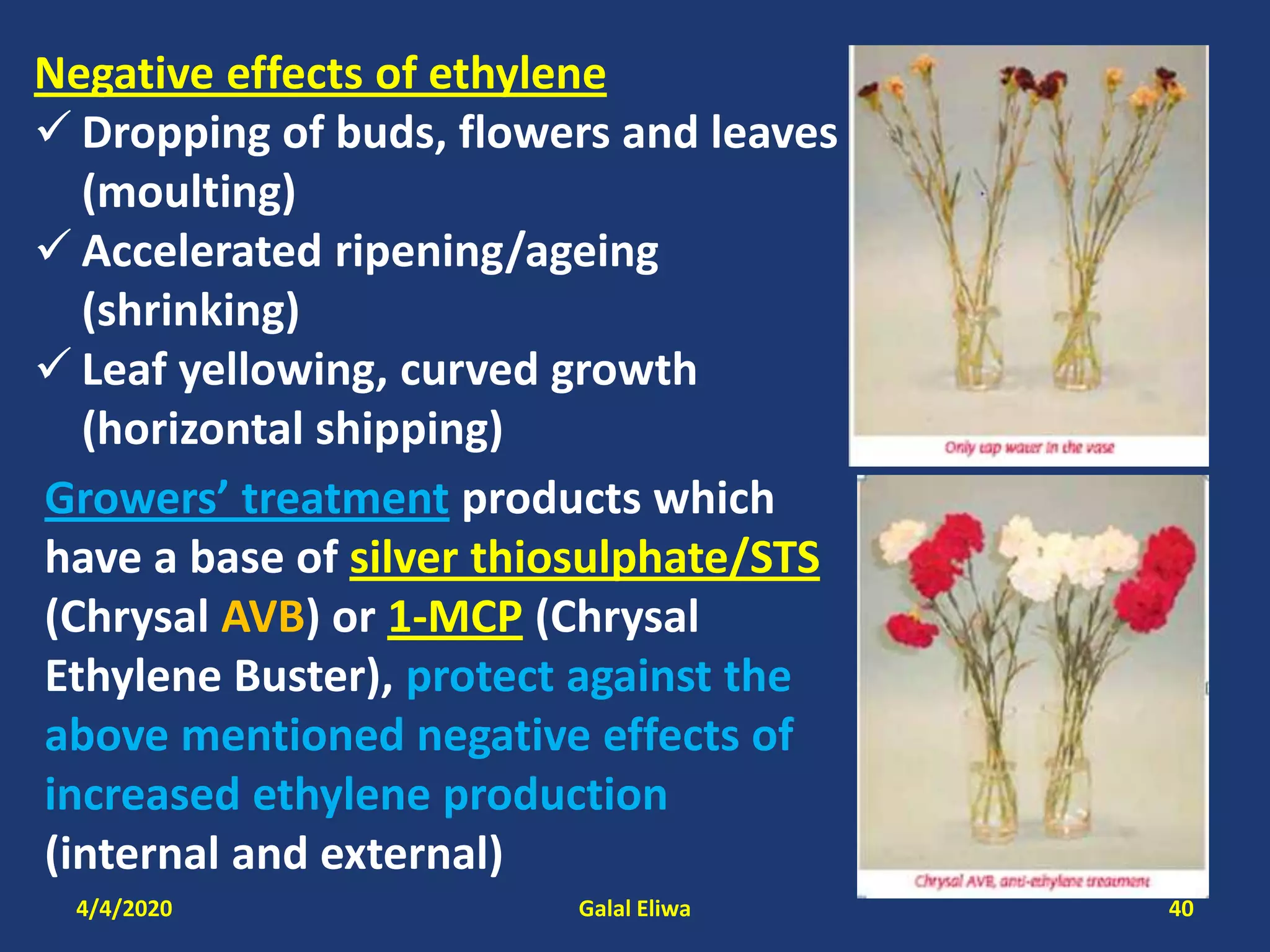 Plant growth regulators(Ethylene) | PDF