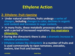 Plant growth regulators(Ethylene) | PDF