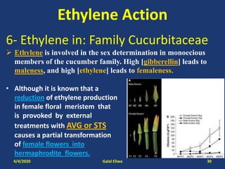Plant growth regulators(Ethylene) | PDF