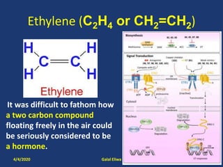 Plant growth regulators(Ethylene) | PDF