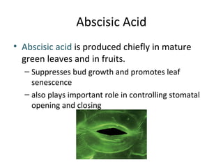 Plant growth regulators | PPT