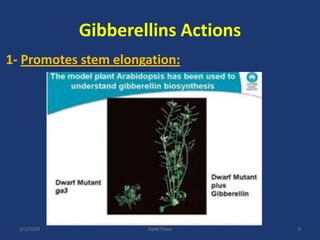 Plant growth regulators (gibberellins) | PDF