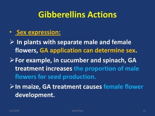 Gibberellins Example