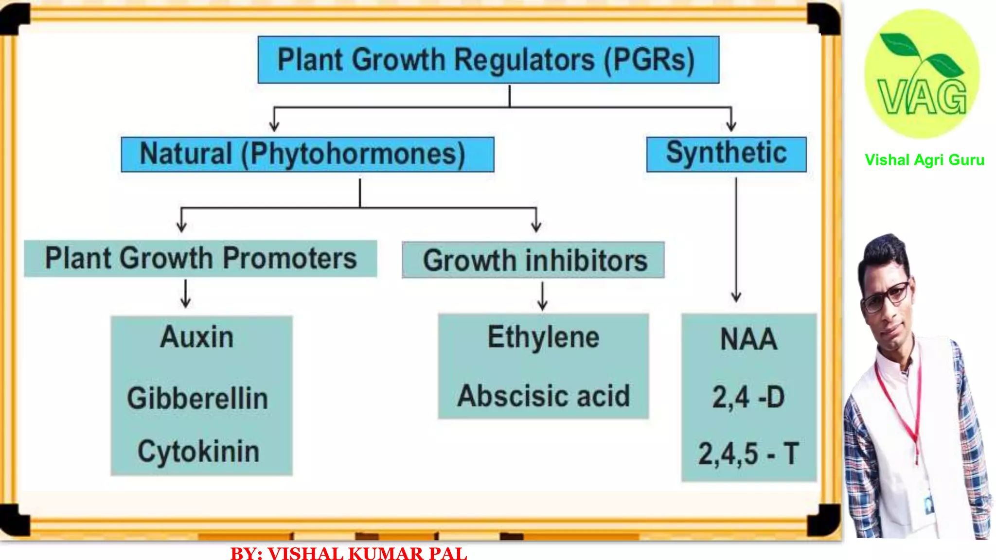 Plant growth regulators in horticultural crops | PPTX