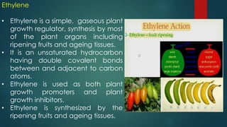 Plant Growth Regulators | PPT