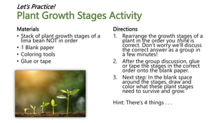 Plant Growth Stages Teacher Slidefths.pptx