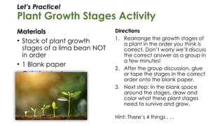 Plant Growth Stages Teacher Slides.pptx Slides | PPTX