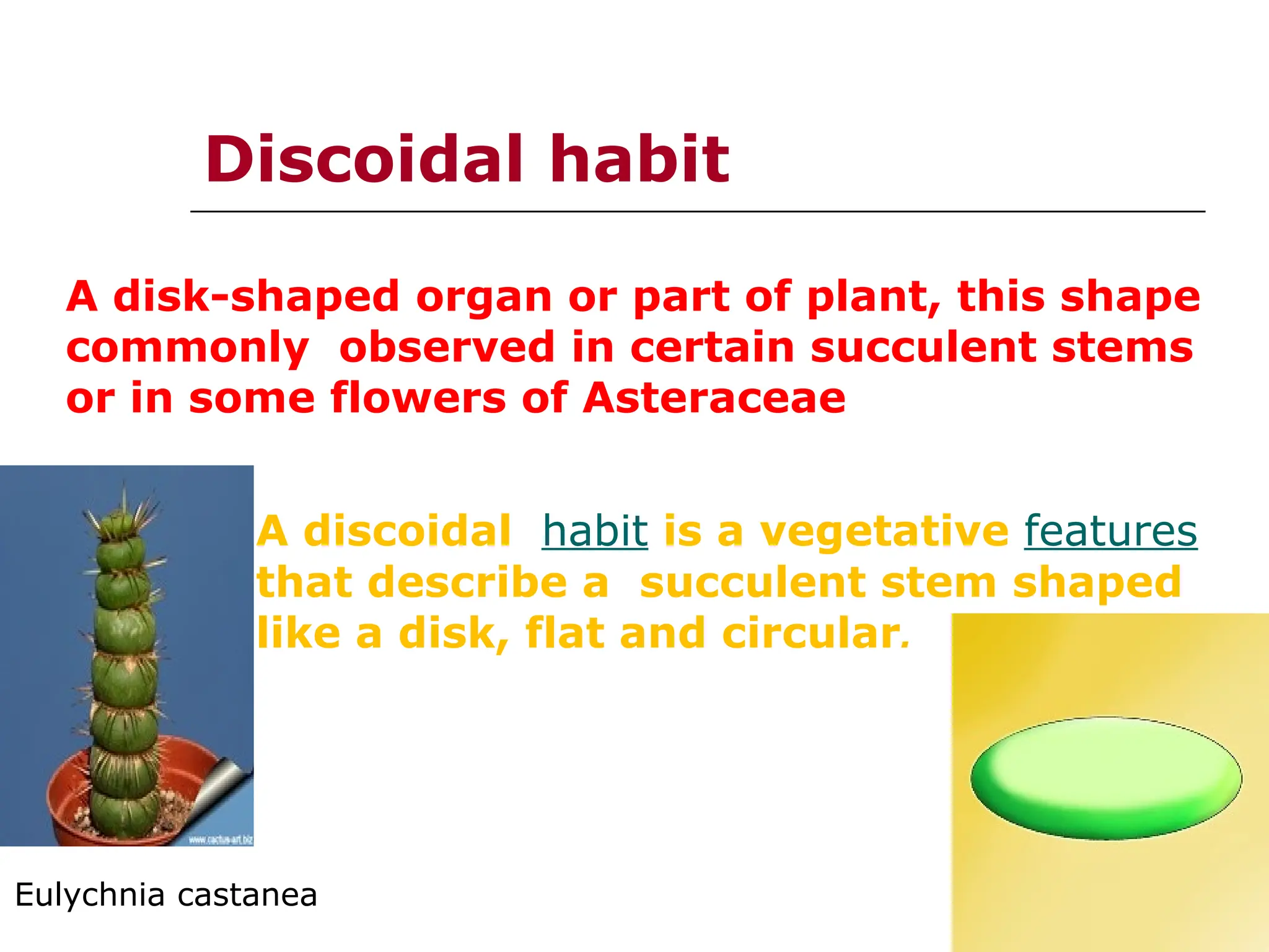 Plant Habit ....Plant Habit ..... How plants grow in different forms | PPT