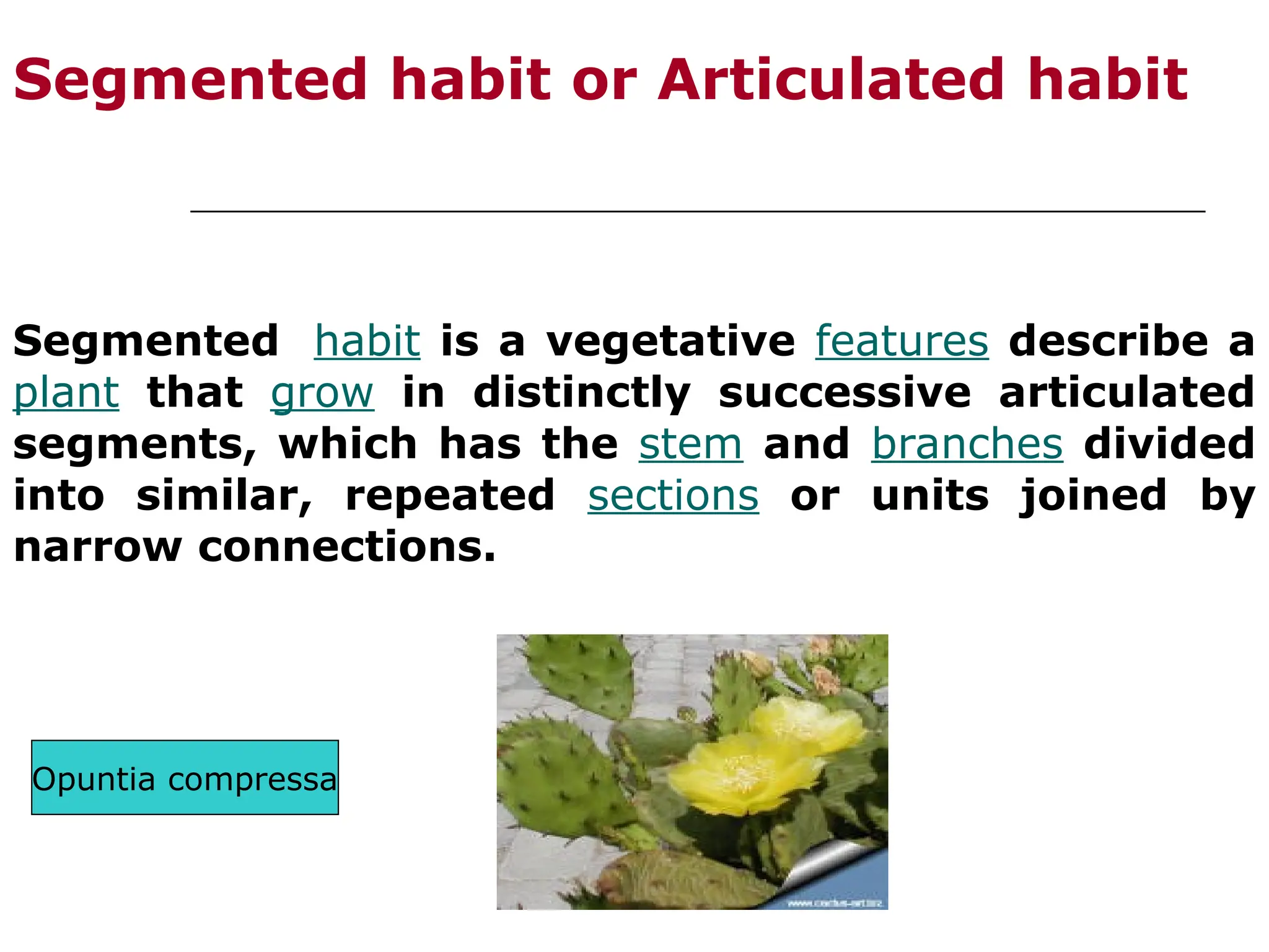 Plant Habit ....Plant Habit ..... How plants grow in different forms | PPT