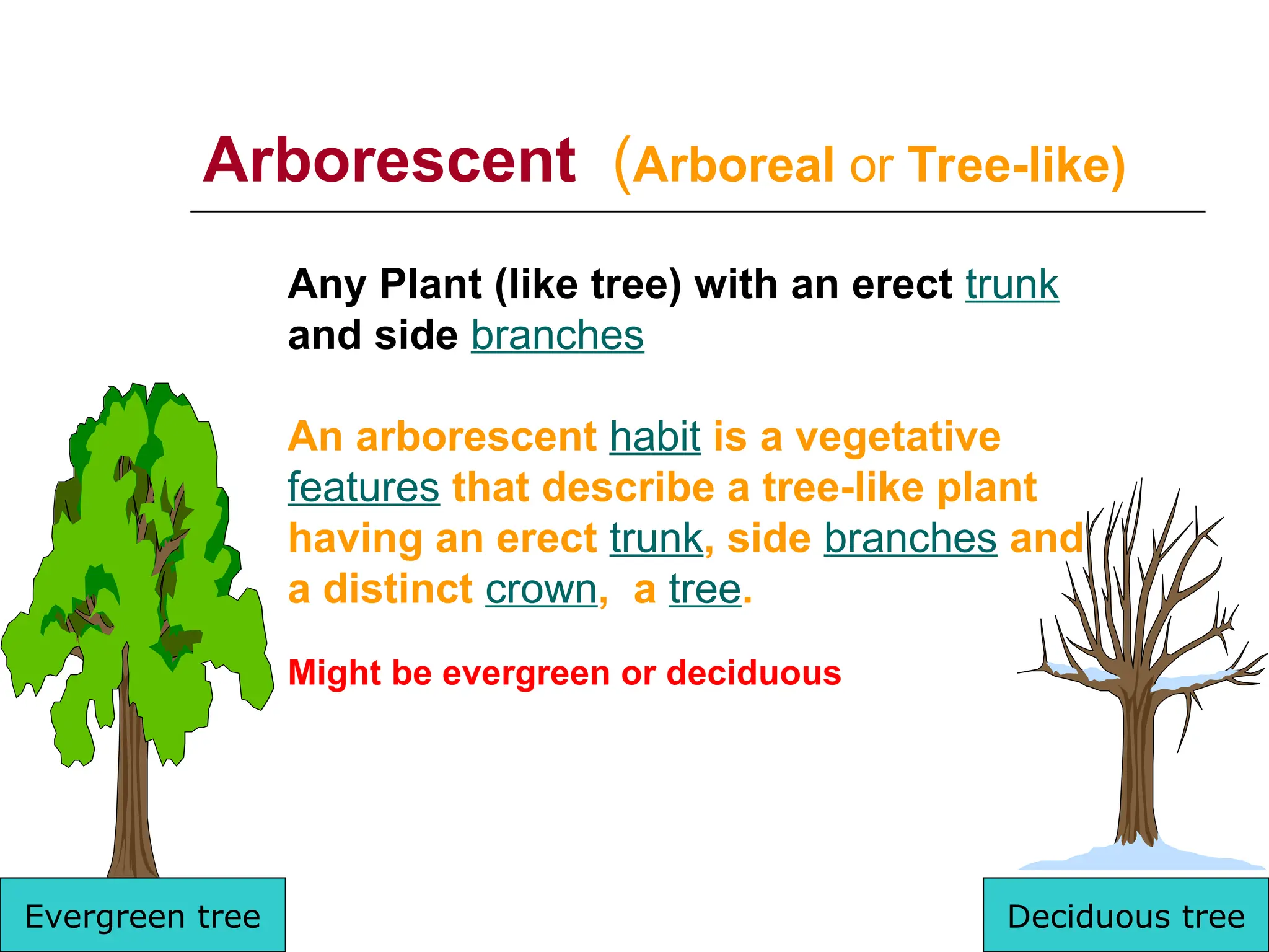 Plant Habit ....Plant Habit ..... How plants grow in different forms | PPT