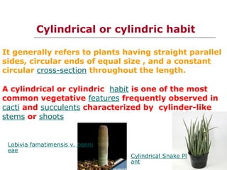 Plant Habit ....Plant Habit ..... How plants grow in different forms | PPT