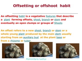 Plant Habit ....Plant Habit ..... How plants grow in different forms | PPT