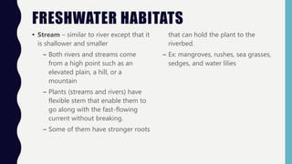 Plant habitats | PPTX