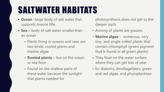Plant habitats | PPTX