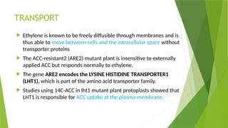 plant harmone- abscisic acid & ethylene and mechanism of action | PPTX
