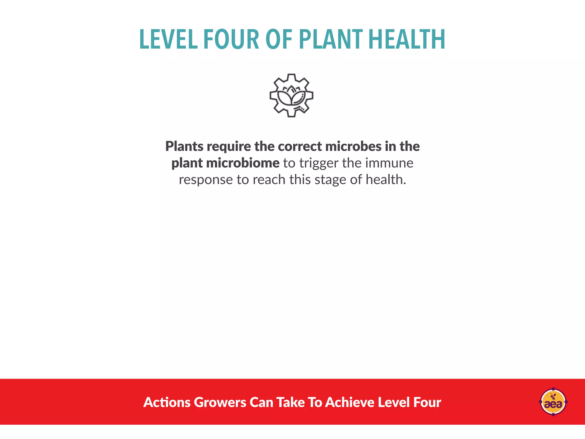 Plant Health Pyramid | PDF