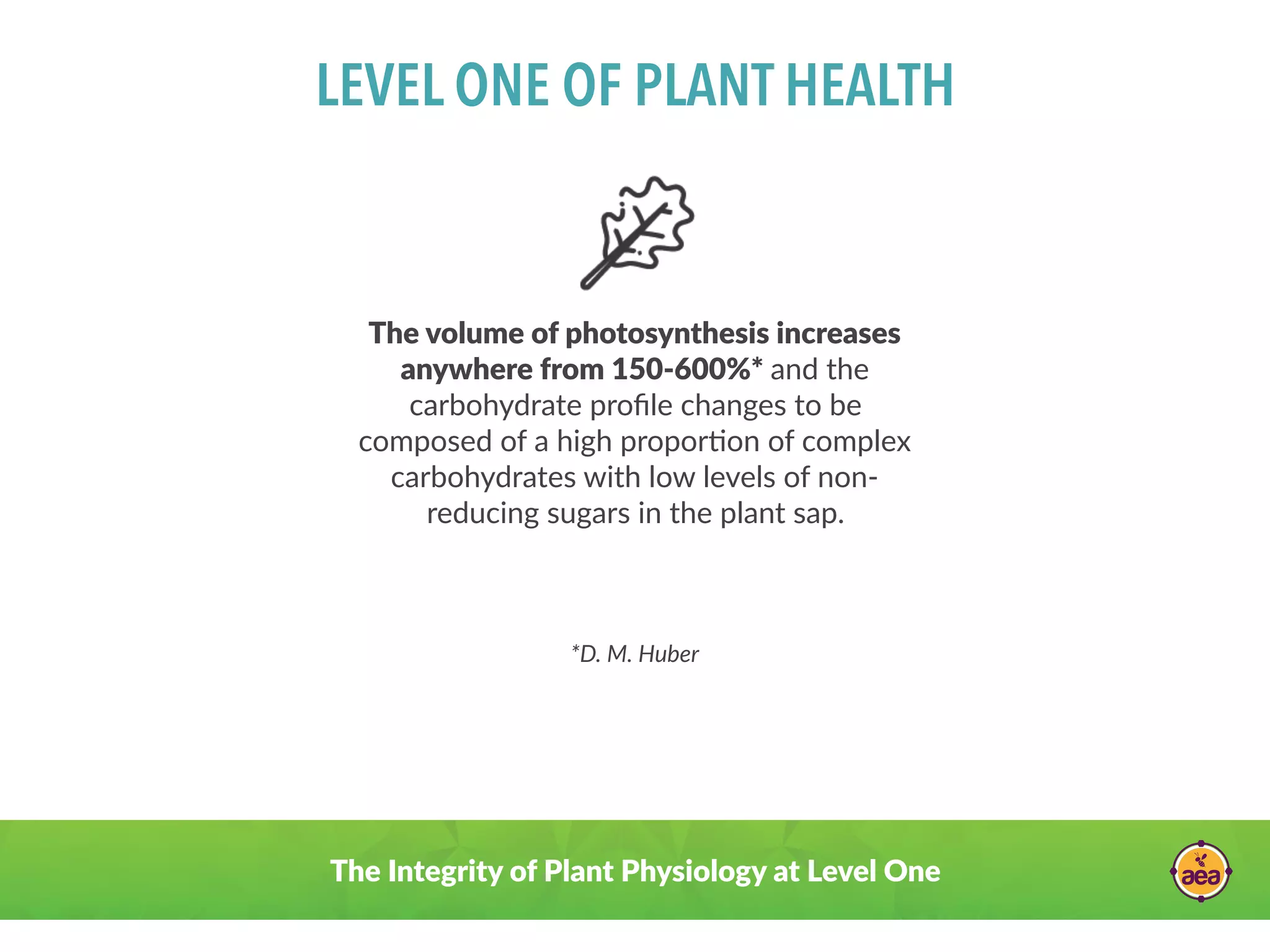 Plant Health Pyramid | PDF