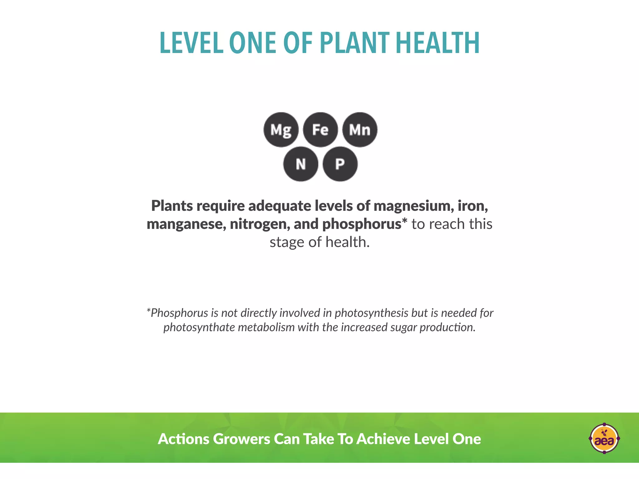 Plant Health Pyramid | PDF