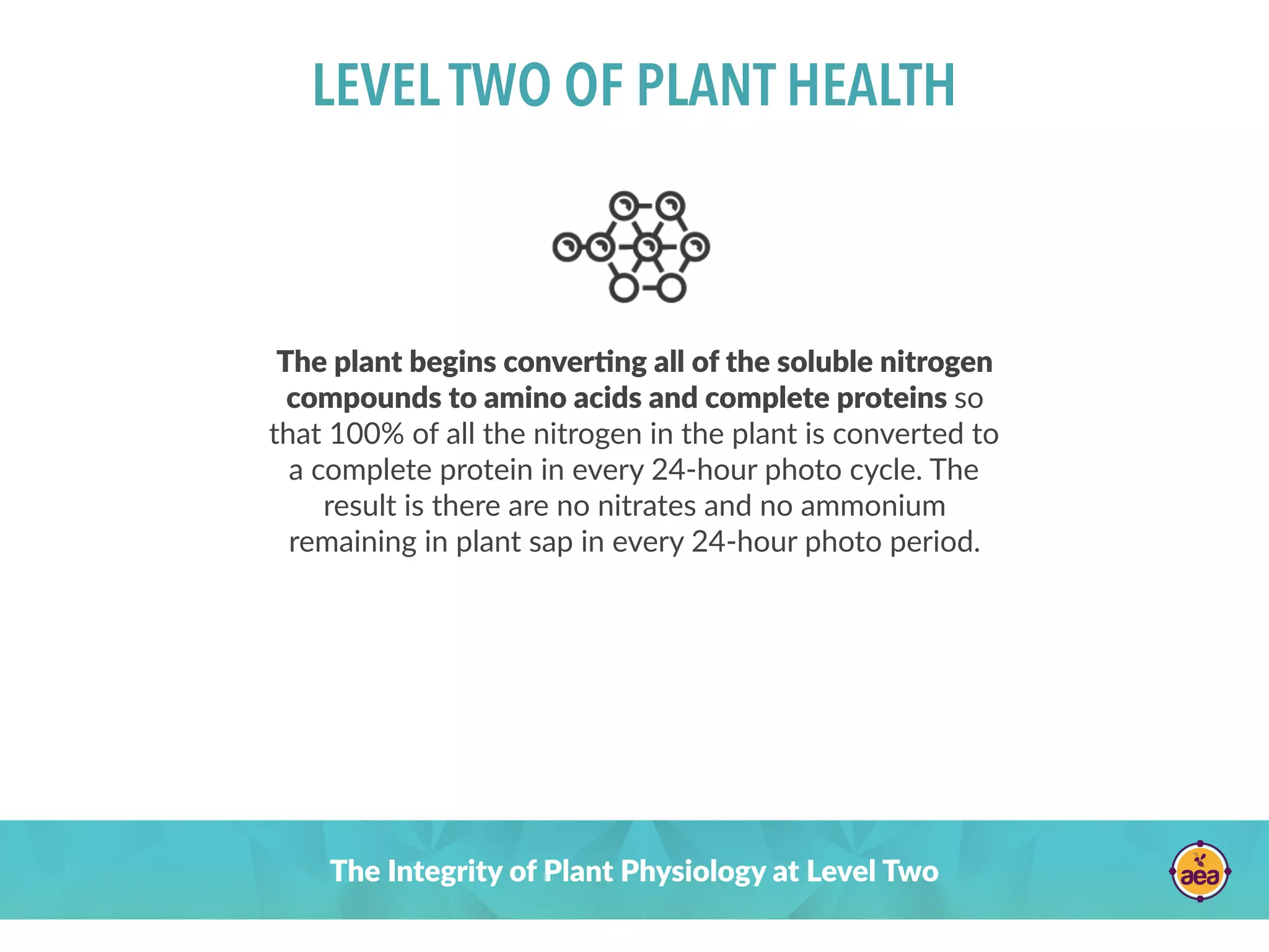 Plant Health Pyramid | PDF
