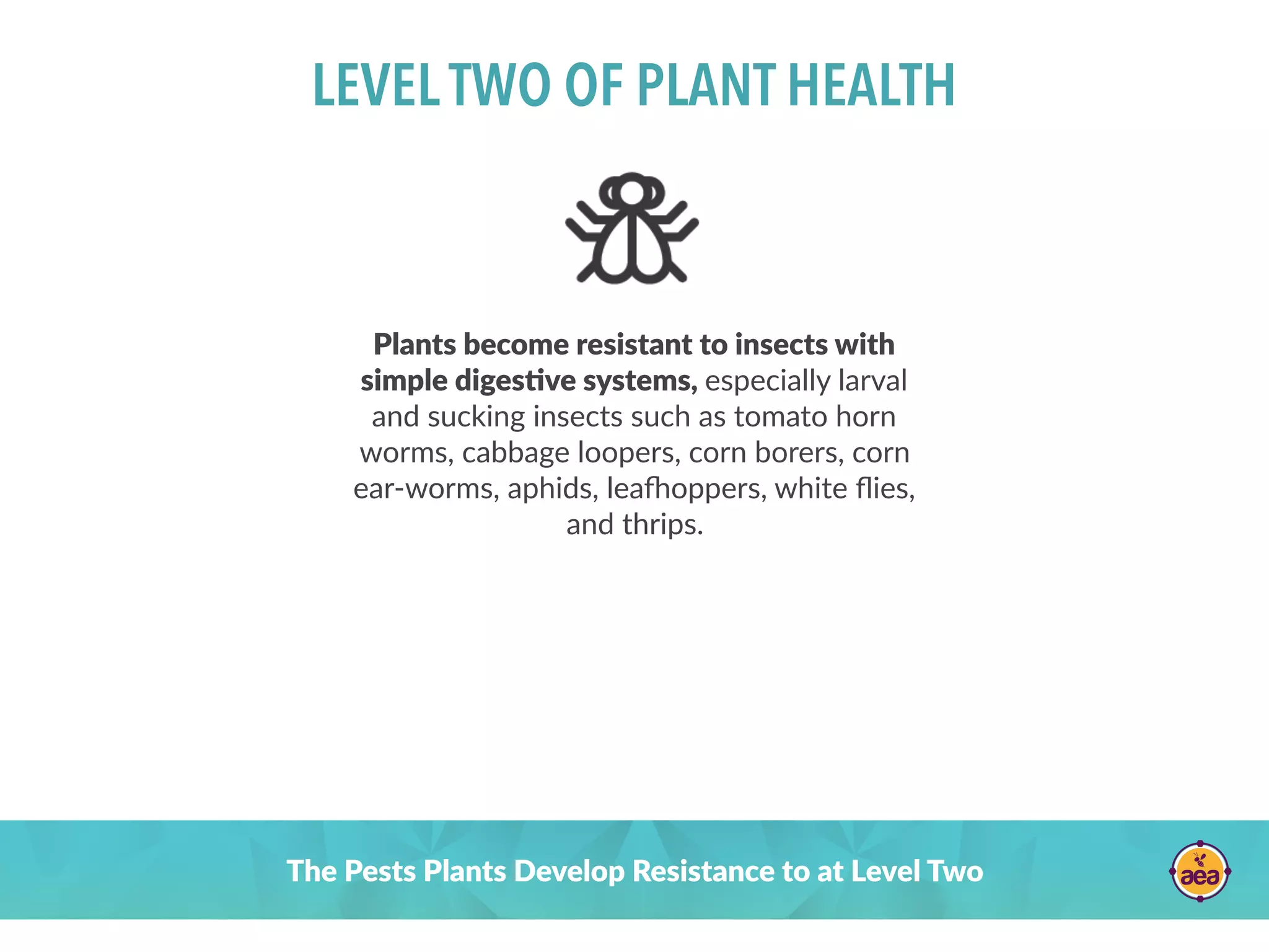Plant Health Pyramid | PDF