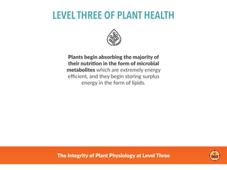 Plant Health Pyramid | PDF