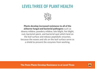 Plant Health Pyramid | PDF
