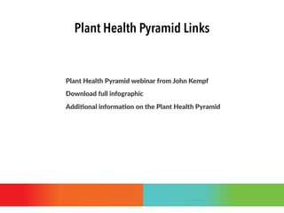 Plant Health Pyramid | PDF