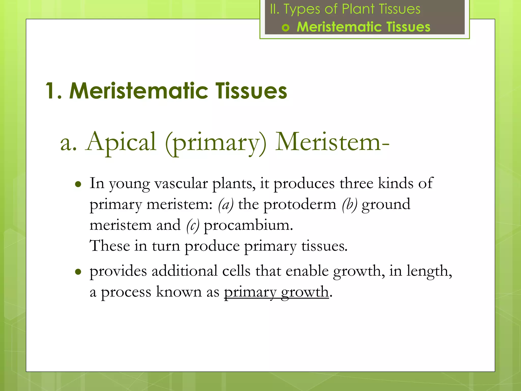 Plant histology | PPTX