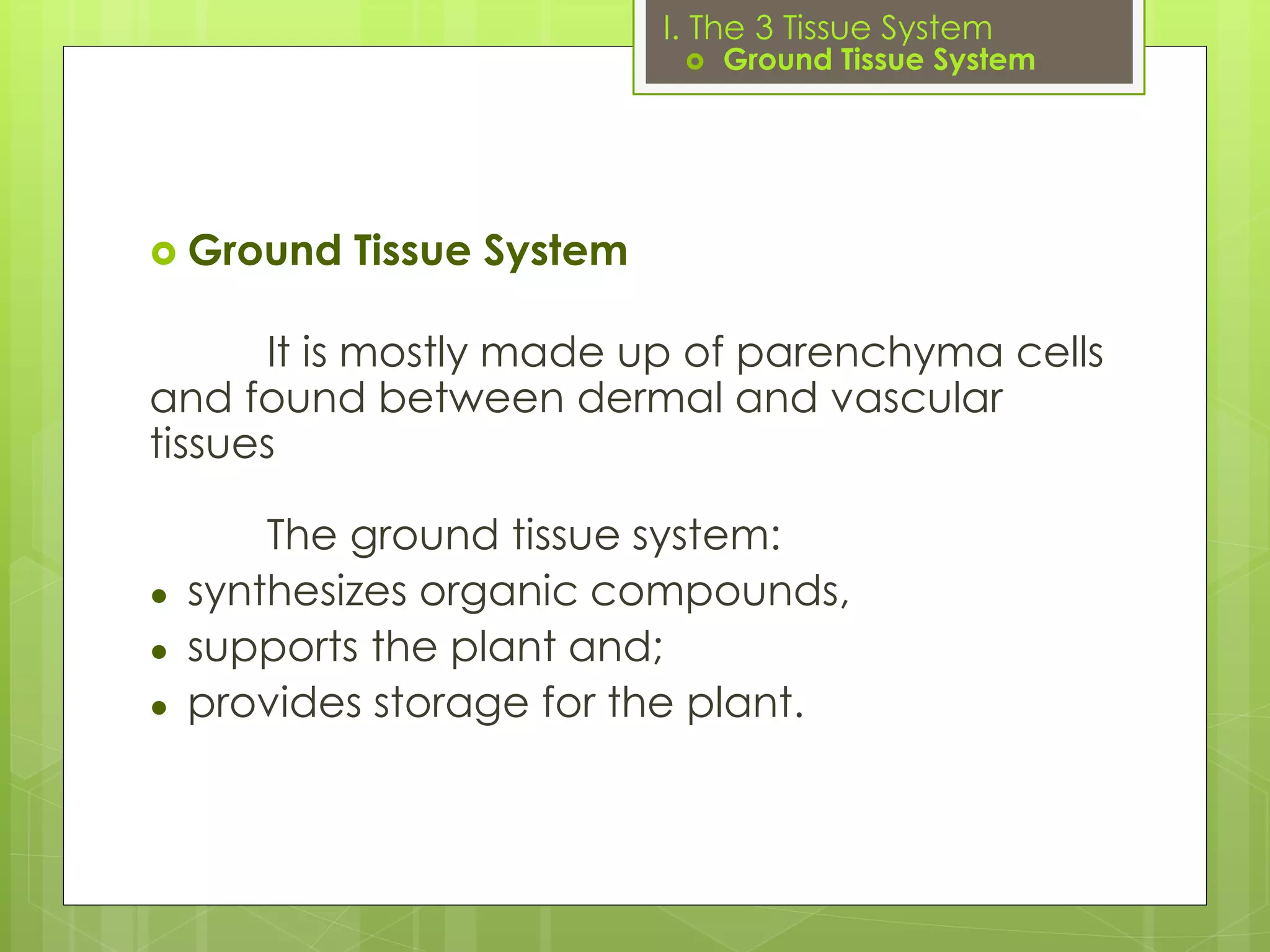 Plant histology | PPTX