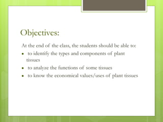 Plant histology | PPTX
