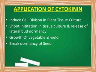 Plant hormone | PPTX