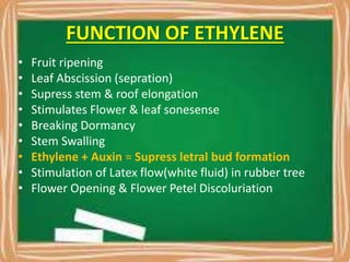 Plant hormone | PPTX