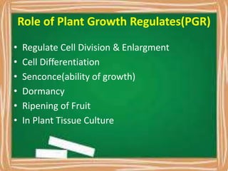 Plant hormone | PPTX