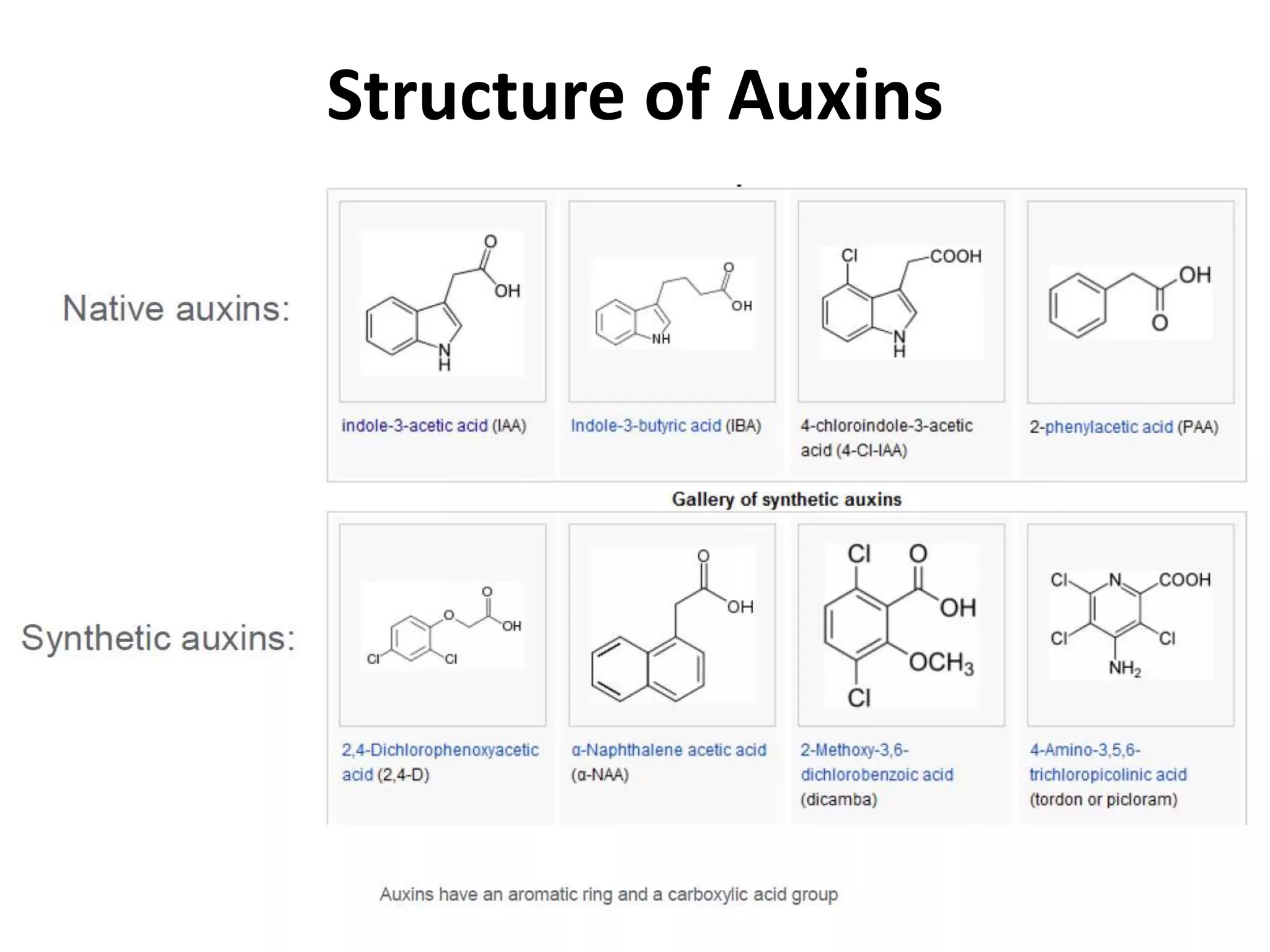 Plant hormone auxin | PPTX