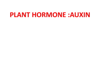 Plant hormone auxin | PPTX