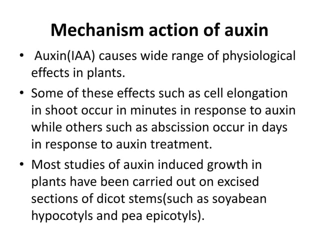 Plant hormone auxin | PPTX | Endocrine and Metabolic Diseases ...