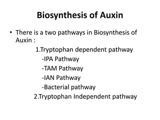 Plant hormone auxin | PPTX