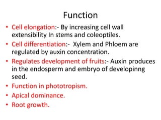 Plant hormone biosysnthesis and function amjad | PPTX