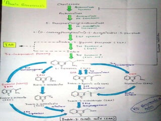 Plant hormone biosysnthesis and function amjad | PPTX
