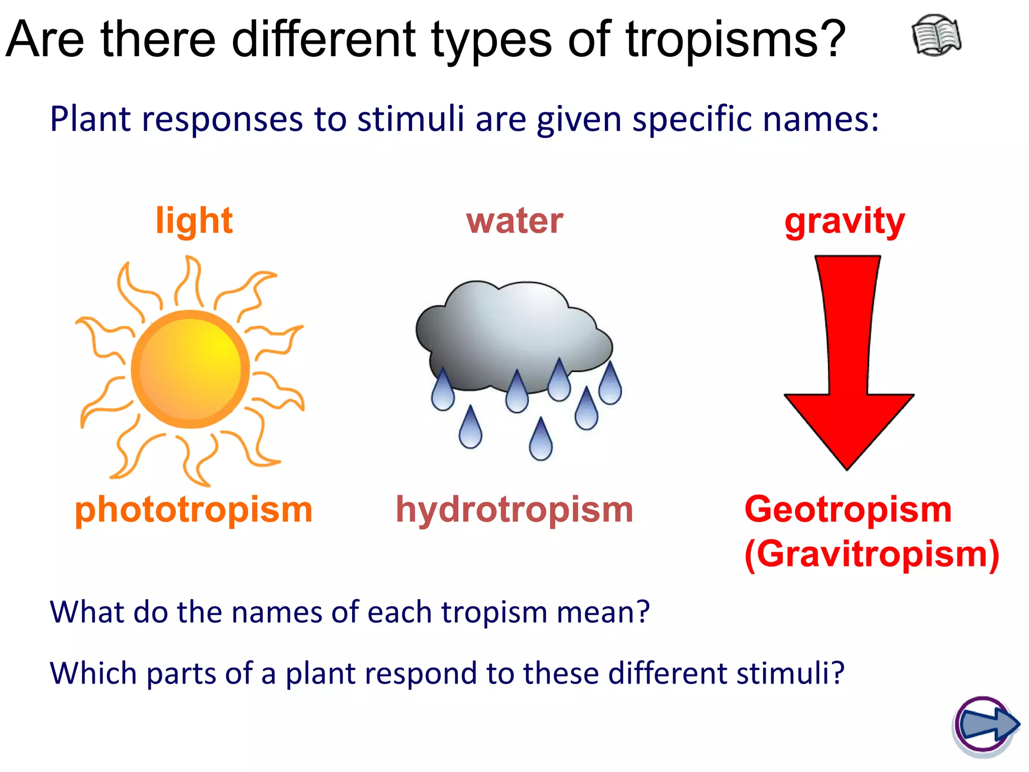 Plant hormones | PPTX