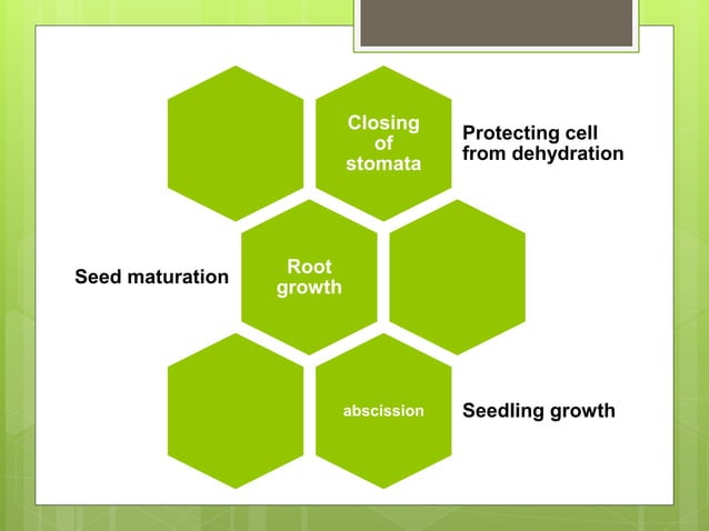 Plant hormones | PPTX | Endocrine and Metabolic Diseases | Diseases and ...