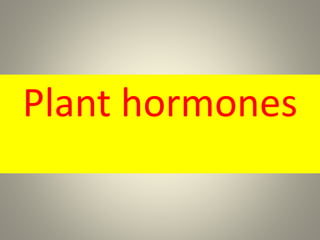 Plant hormones | PPT